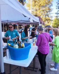 Gallery | Santa Rosa Wednesday Night Market